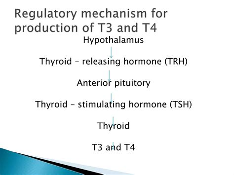 Hyperthyroidism And Hypothyroidism Ppt
