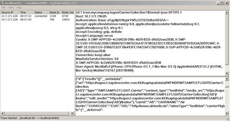 Getting Started With Kapsel Appendix F Tips Sap Community