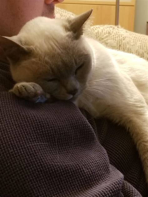 Sleeping Beauty Scrolller