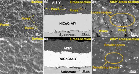 SEM Surface And Cross Sectional Images Of Sample M1 A C And M2 D