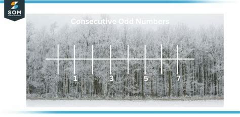 consecutive numbers definition and meaning