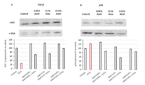 Representative Western Blot And Densitometry Analysis Done By Imagej