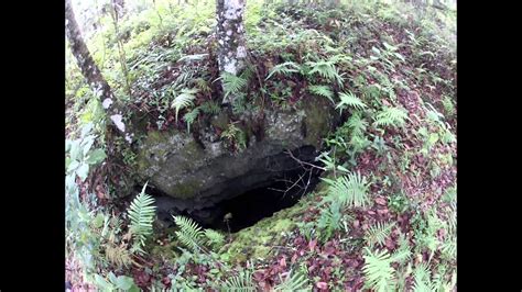 Caves In Withlacoochee State Forest YouTube