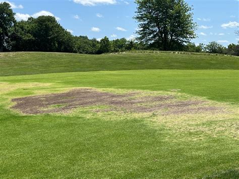 K State Turf And Landscape Blog