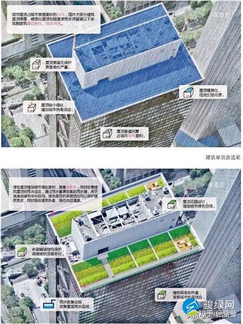 最全的海绵城市设计解析图 知乎