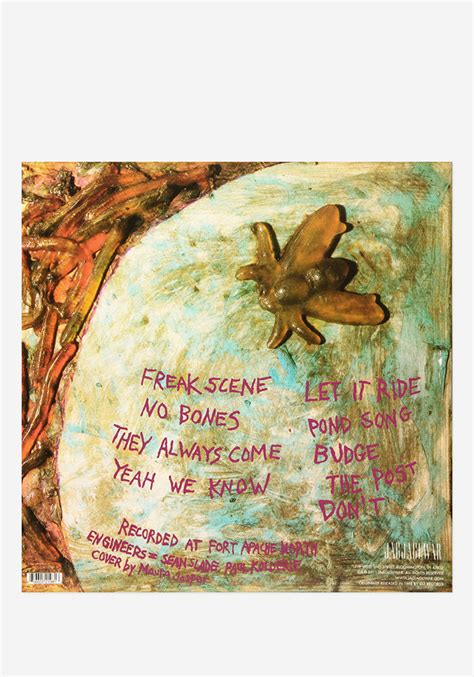 Dinosaur Jr Bug Exclusive Lp Purple Color Vinyl Newbury Comics