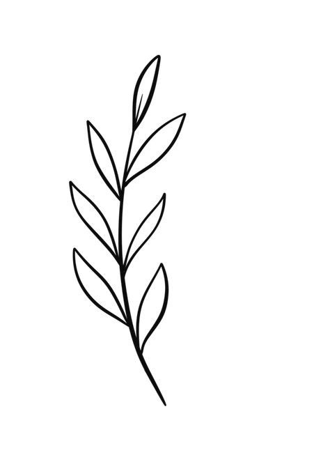 Desenho De Ramos De Folhas
