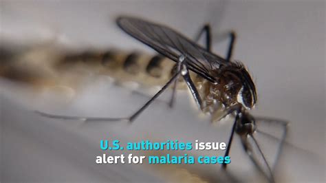 U S Authorities Issue Alert For Malaria Cases Cgtn
