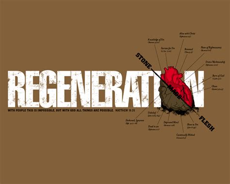 Biblefood For The Spiritually Hungry What Is Regeneration