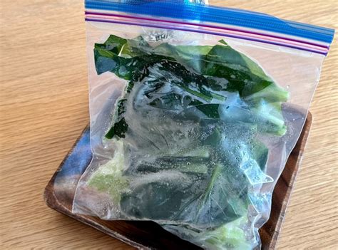 小松菜の簡単レシピ。生で冷凍できる小松菜にめんつゆを加えるだけで・・、茹でずにおひたしの出来上がり！？ ｜ ガジェット通信 Getnews
