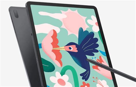 Galaxy Tab S8 Fe Tipped With Lcd Display And Stylus Support