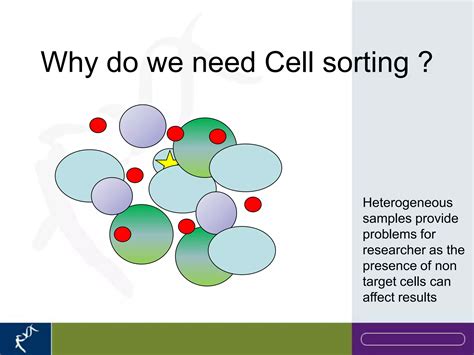 Cell Sorting Flow Cytometry Pps