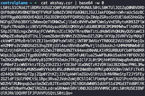 Kubernetes Cka Study Certificates Api Kubeconfig