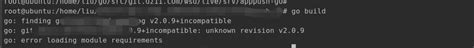 cmd go unknown revision error followed by error loading module