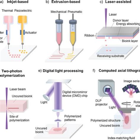 A Schematic Design Of The Microfluidic Bbb‐on‐a‐chip Consisted Of A Download Scientific
