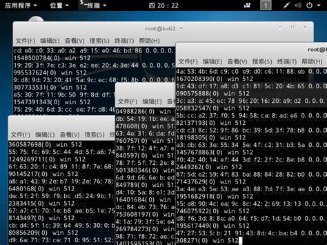Mac泛洪攻击和防御 Csdn博客