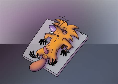 Rule 34 4 Fingers 4 Toes Anthro Balls Beaver Biped Black Eyes Bondage