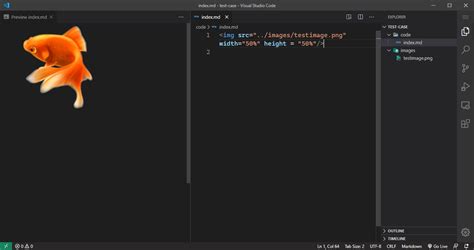 Can T Preview The Local Pictures In VSCode Issue 99588 Microsoft Vscode GitHub