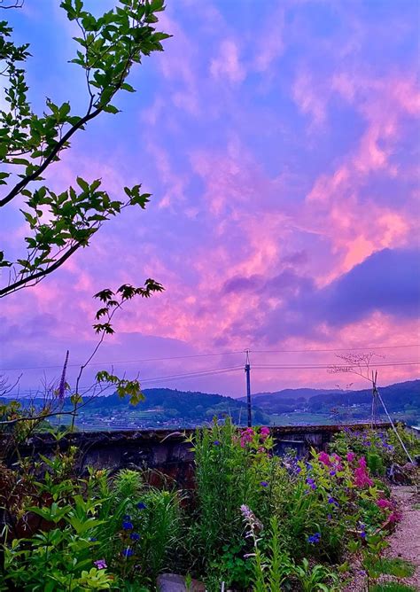 曇天ですが、今日もこの時間にはどこからと 岡山県加賀郡吉備中央町 はなみかぜ ウェザーニュース
