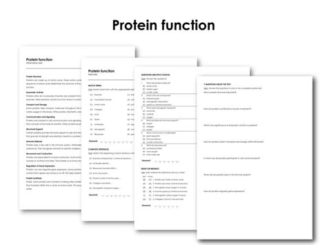 Protein Function Made By Teachers