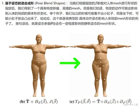 SMPL介绍 zhihu smpl CSDN博客