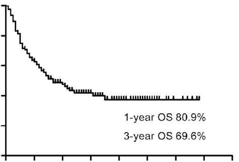 Kaplan Meier Overall Survival Os Curve For All 250 Patients Included