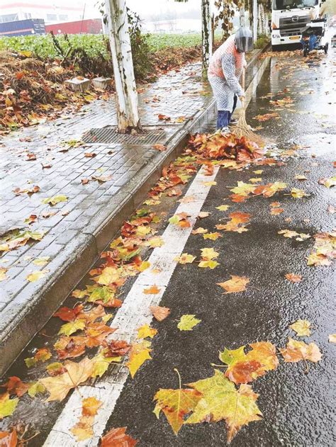 初冬落叶飘 环卫清扫忙南通网 南通新闻－资讯－生活首选门户