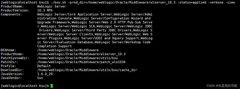 weblogic10 3 6补丁升级 csdn博客