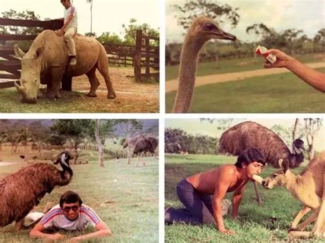 Mi arca de Noé la increíble historia del zoo de Pablo Escobar y cómo hipopótamos se