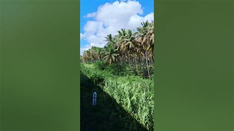 Lalbagh Express View Outside Youtube