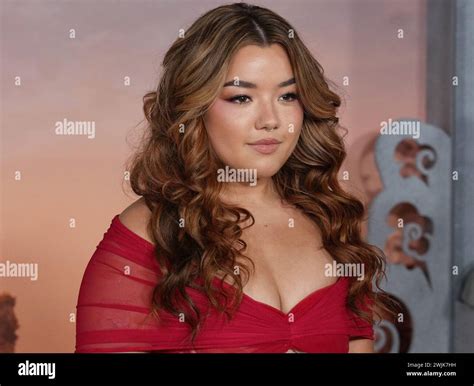Los Angeles Usa 15th Feb 2024 Elizabeth Yu Arrives At The Netflixs