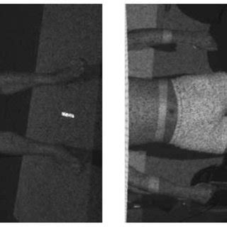 Example Of A Pair Of Stereo Images Download Scientific Diagram