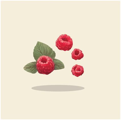 Premium Vector Illustration Of A Raspberry 03