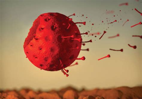 How The Covid 19 Pandemic Could End Scientific American