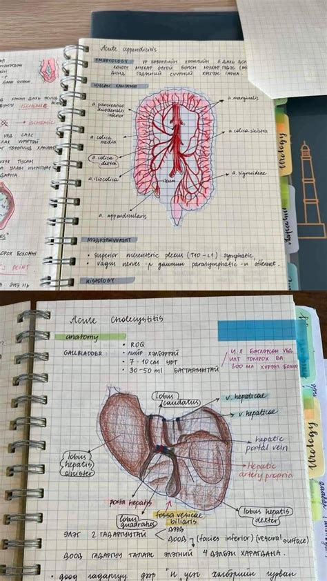 Шүгэл Ажиллагаа Шүгэл Ажиллагаа Added A New Photo