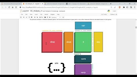 Single Cell Data Analysis Tutorial On Pbmc Dataset Using Scanpy Part1