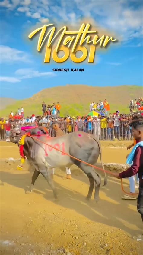 👑king👑 Mathur 1001👑 👀 Youtube