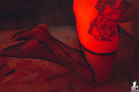 Arielmae Photo Album Devils Naughty Kitty Intporn Forums