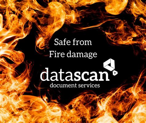 Datascan Document Services On Linkedin Documentmanagement Business