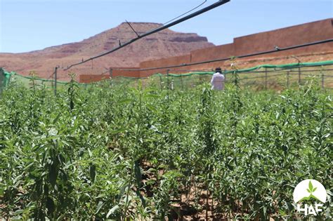 Interfaith Multiculturalism And Sustainable Development High Atlas