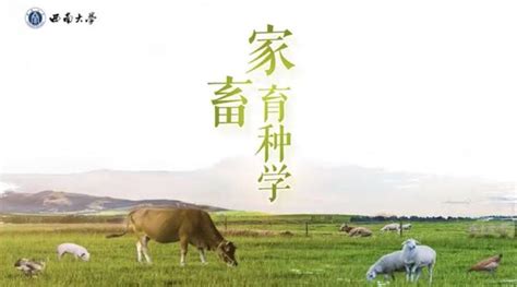 Blup估计育种值ebv（下） Blup运算实例 知乎