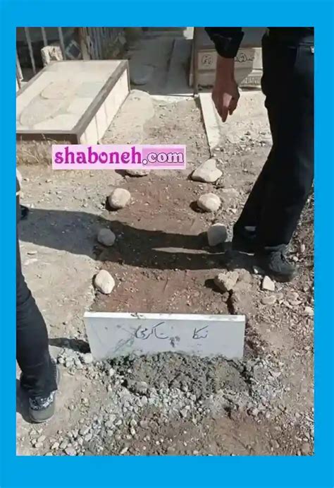 بیوگرافی نیکا شاکرمی کیست و پدر و مادرش و علت فوت و مرگ عکس شبونه