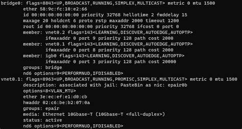Updating Network Interface For Existing Jails After Moving To A New