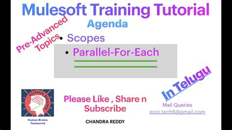 part1 session 13 3 mulesoft telugu tutorial mulesoft telugu mulesoft scopes parallel foreach