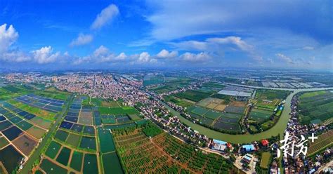 民众街道：明确创新思路，加快探索水乡特色乡村振兴道路工作火炬新平