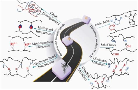 Schematics Of Dynamic Covalent And No Covalent Bonds Operation In The Download Scientific