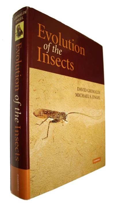 Evolution Of The Insects By Grimaldi D Engel Ms