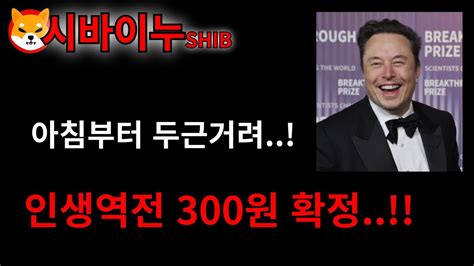 시바이누 코인 아침부터 두근거린다 인생역전 확정 Youtube