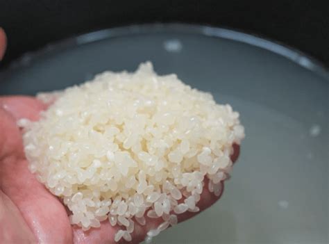 그냥 먹다 미세플라스틱 그대로 먹는 꼴 꼭 알고드세요 라이프 팩토리