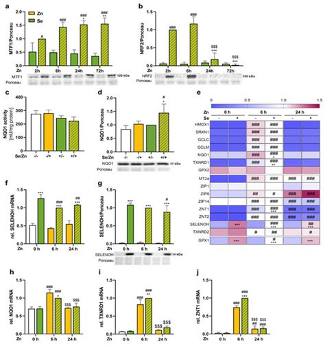 Antioxidants Special Issue Oxidative Stress And Nrf2 In Health And